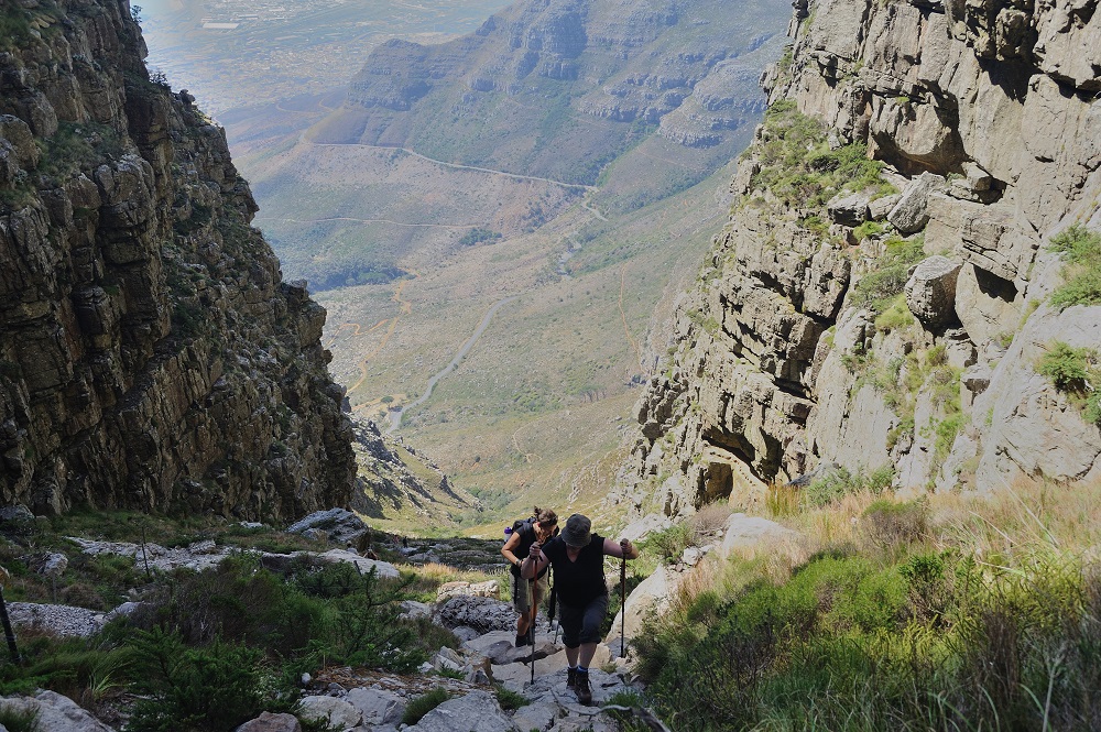 Climb Table Mountain | Walksinafrica